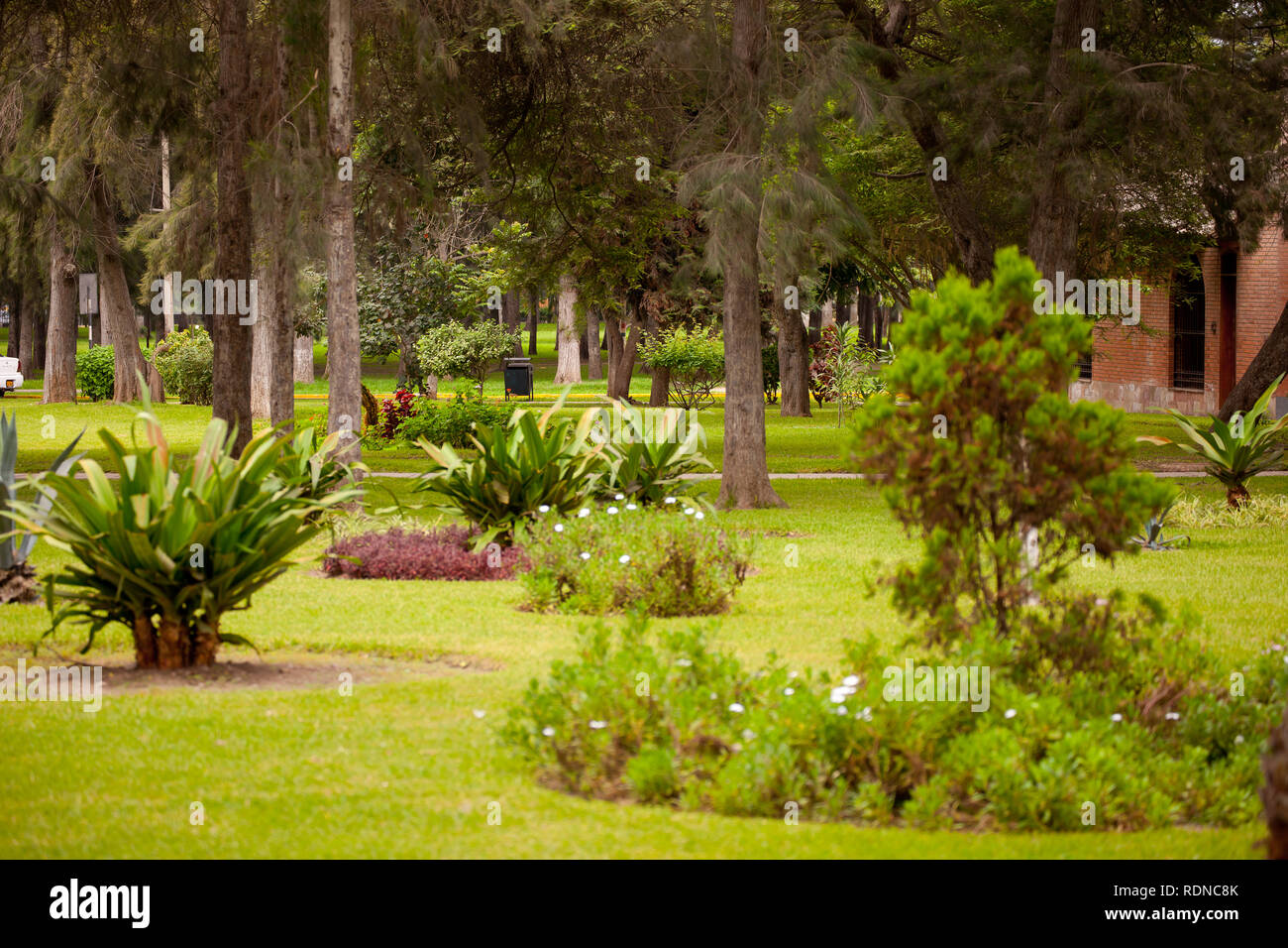 Green park ath the middle of Lima in Peru Stock Photo - Alamy