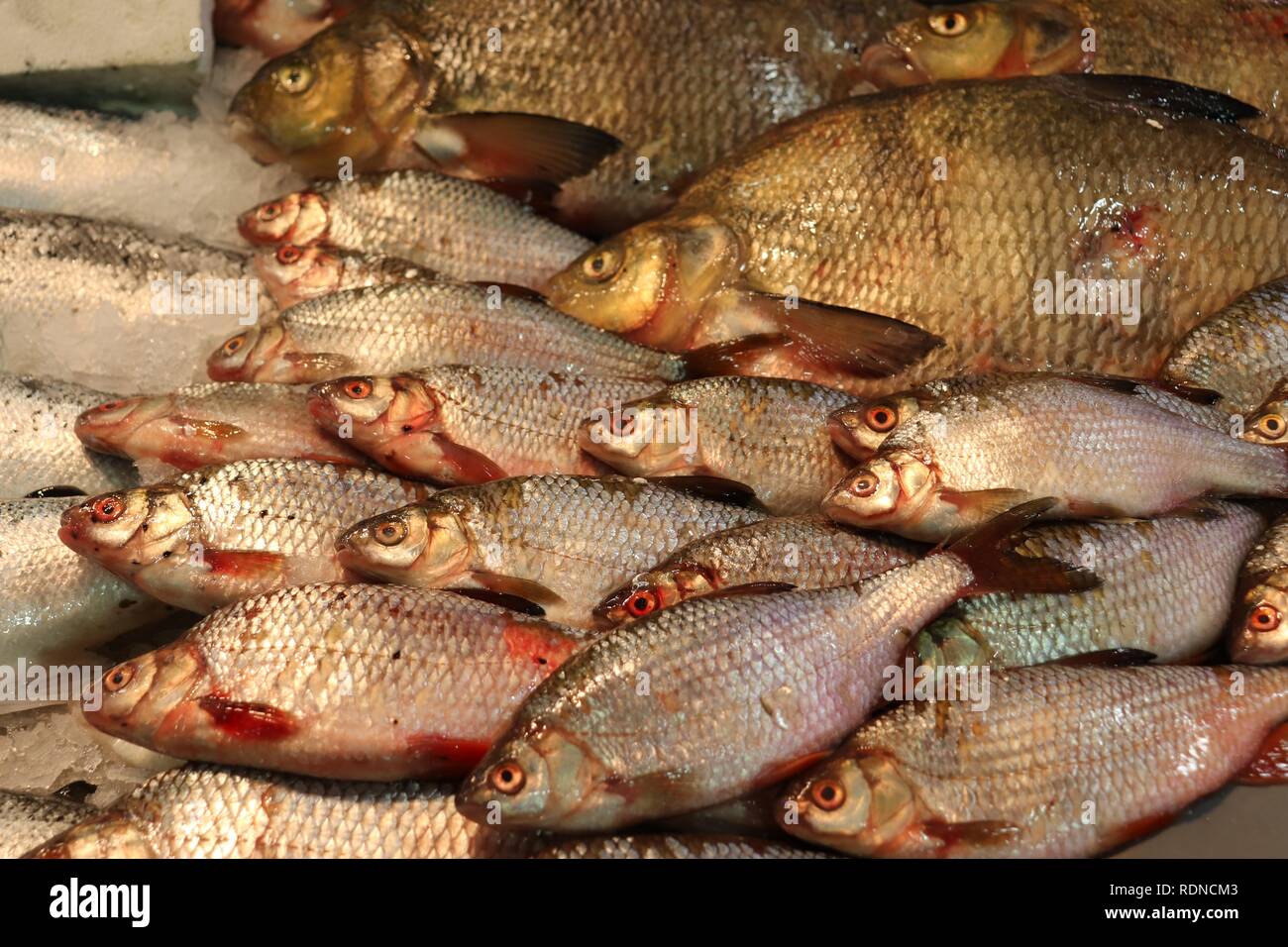 Savaloy High Resolution Stock Photography and Images - Alamy