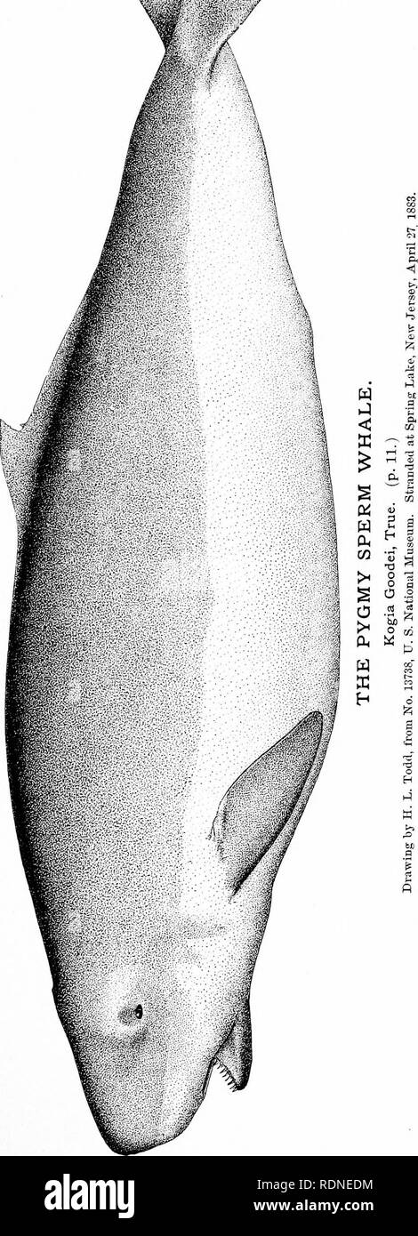 1914 1946 Black and White Stock Photos & Images - Alamy