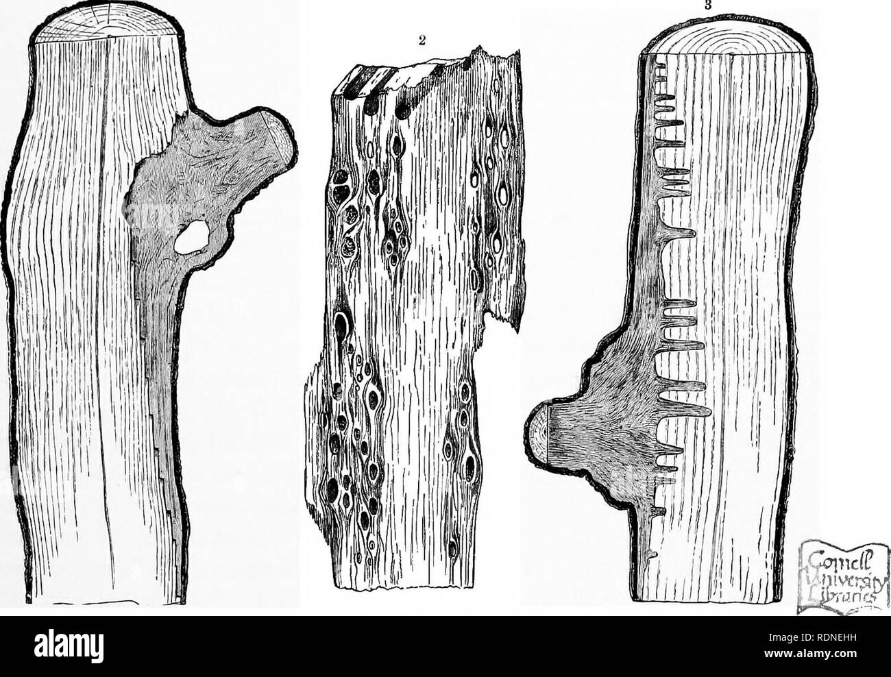 Sinkers Black and White Stock Photos & Images - Alamy