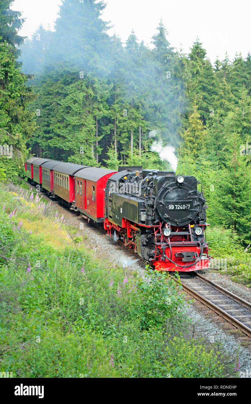 Steam Locomotives Of Harz Narrow Gauge Railways Stock Photos & Steam ...
