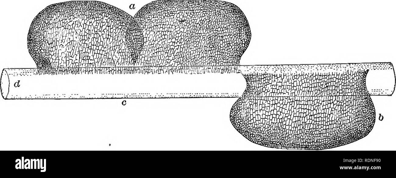 Natueal hi-res stock photography and images - Alamy