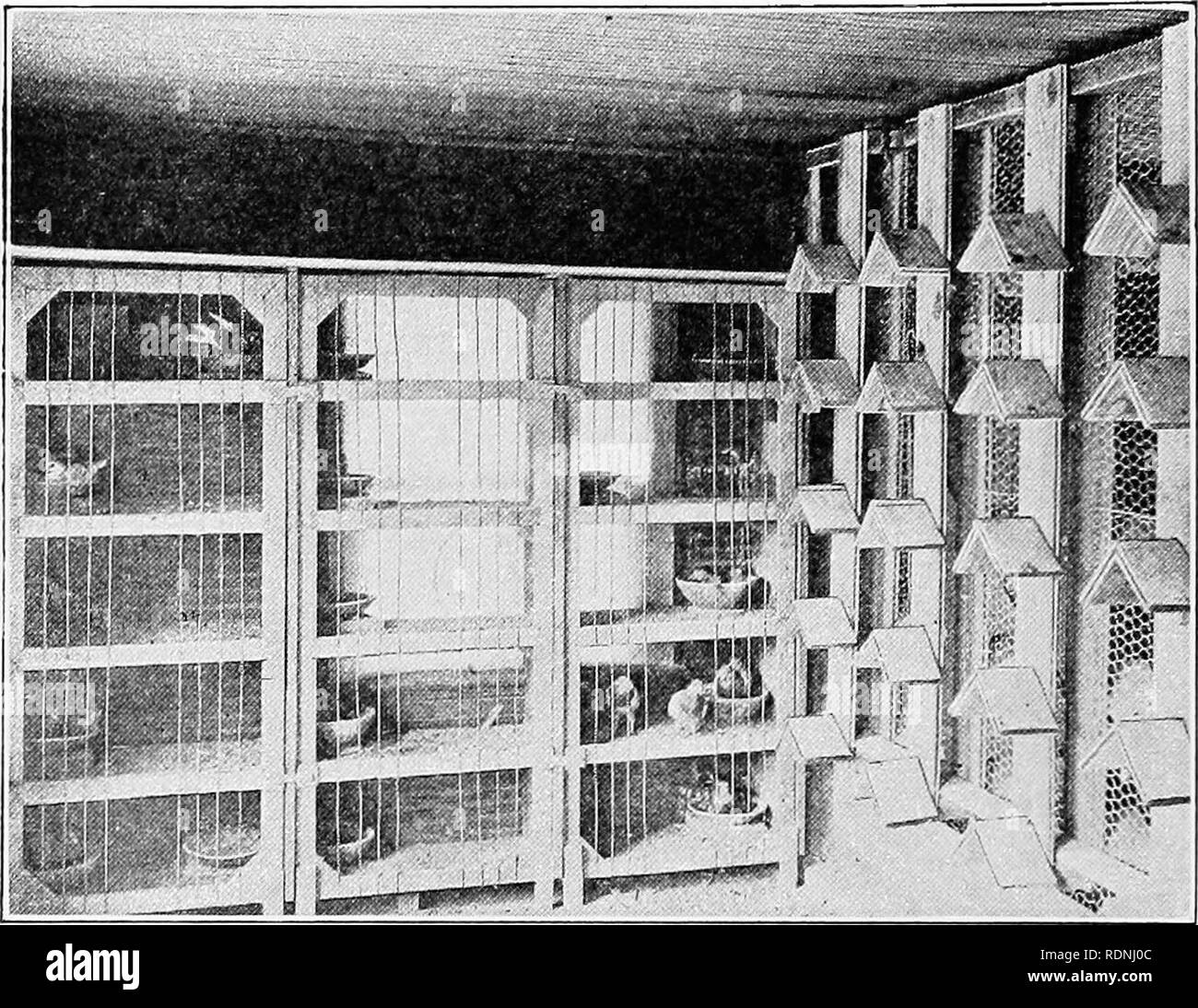 Egg at 3 weeks Black and White Stock Photos & Images - Alamy