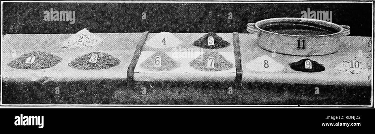 . Practical poultry production . Poultry. 210 PRACTICAL POULTRY ...