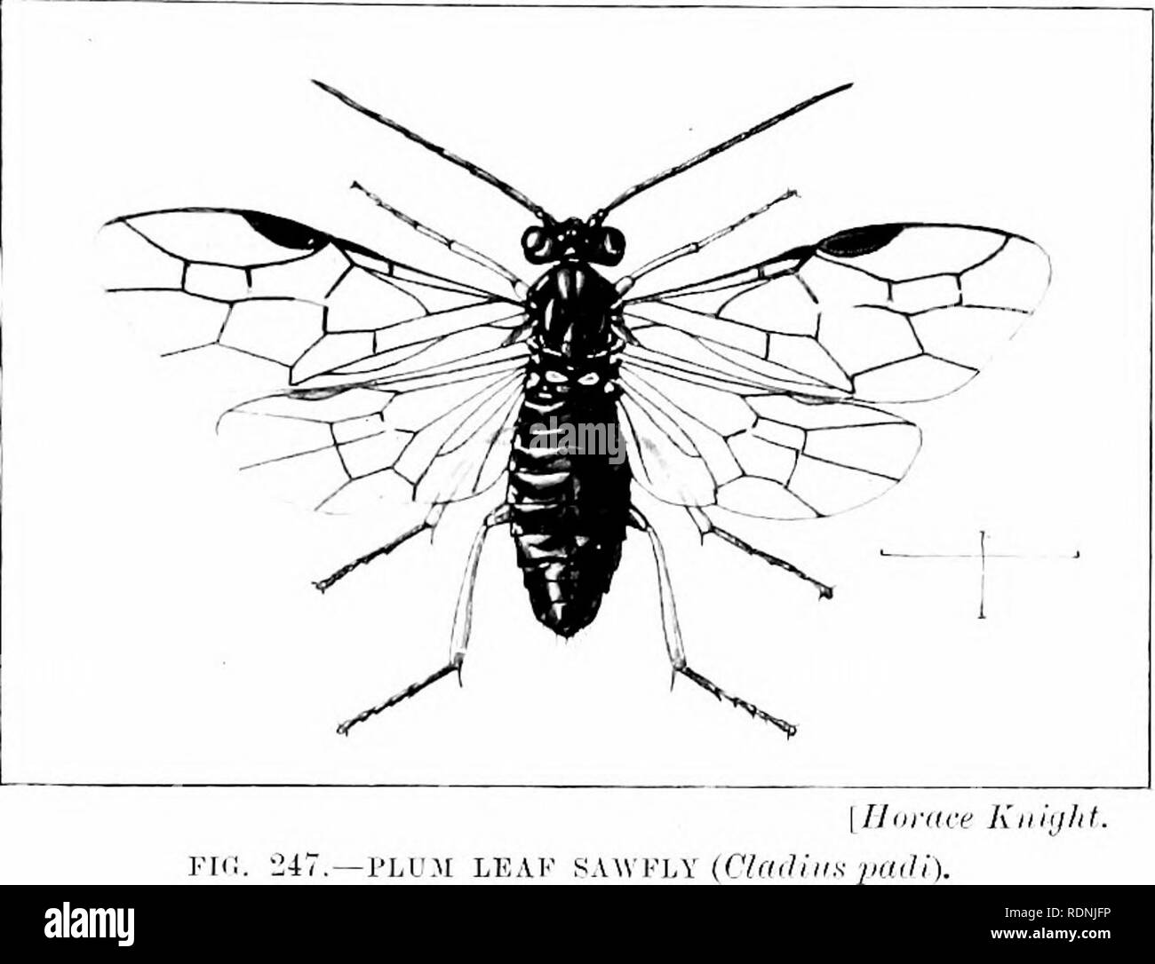Tôlier hi-res stock photography and images - Alamy