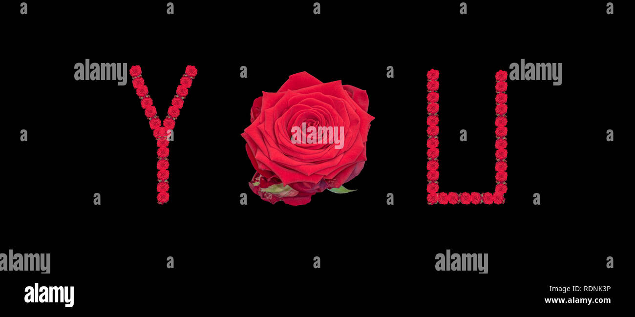 Fine art still life color image of the word YOU constructed from floral ...