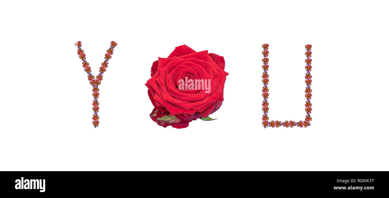 Fine art still life color image of the word you constructed from floral ...