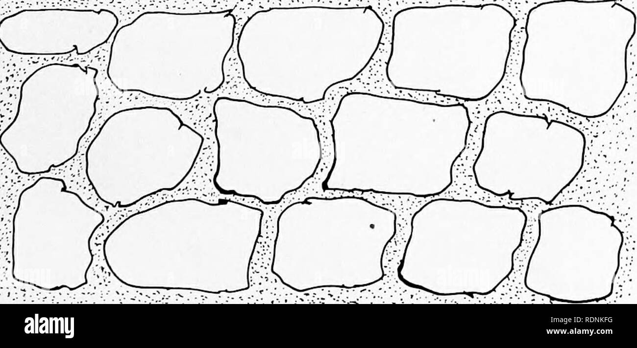 . Practical landscape gardening : the importance of careful planning ...