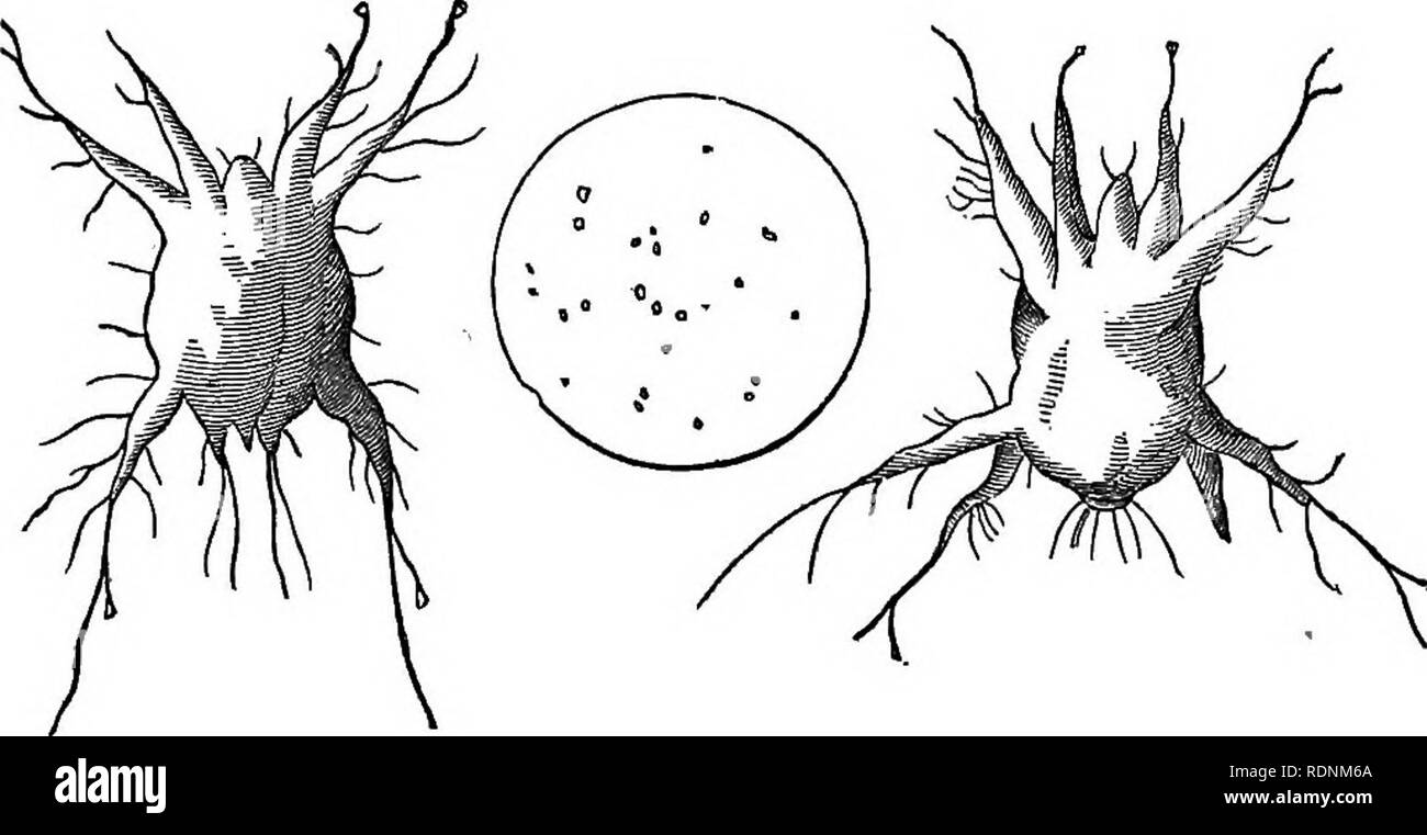 Escape magnified Black and White Stock Photos & Images - Alamy