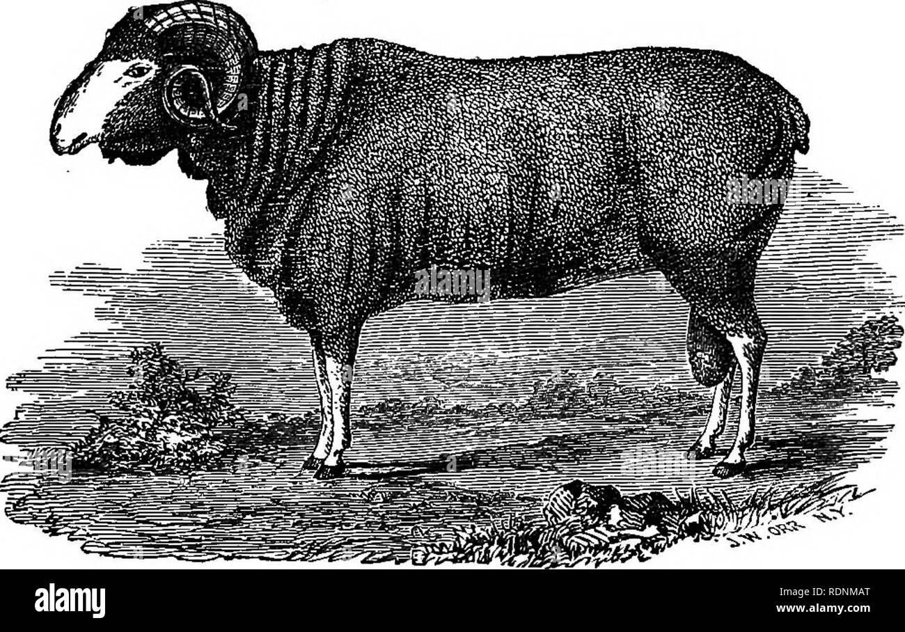 Patent office report Black and White Stock Photos & Images - Alamy