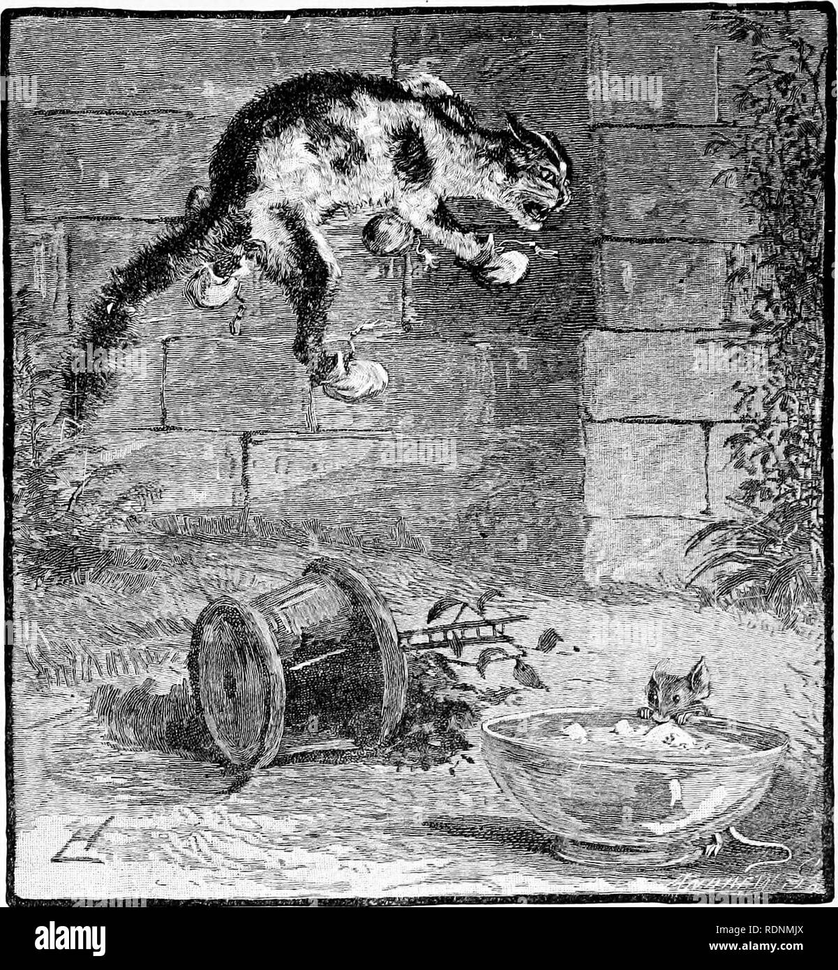 Old wise mouse hi-res stock photography and images - Alamy