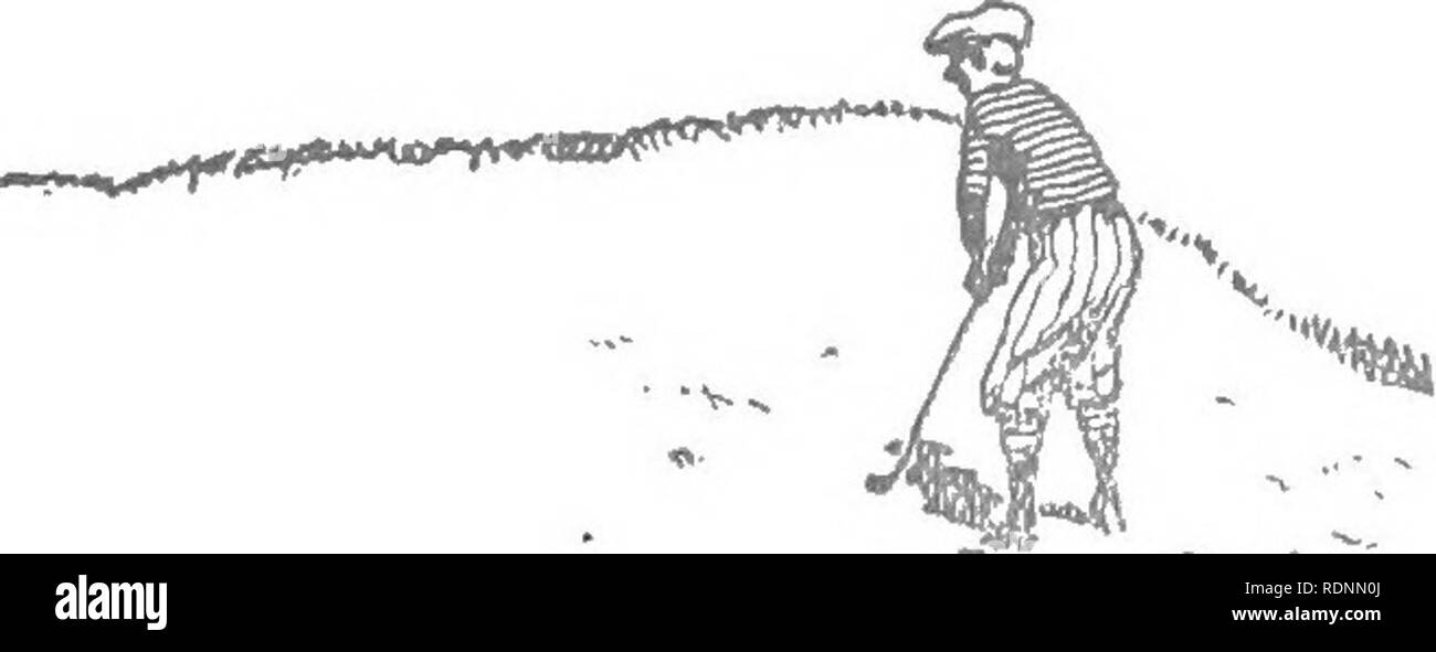 . The seeding and care of golf courses. Golf courses; Grasses. %) • The ...