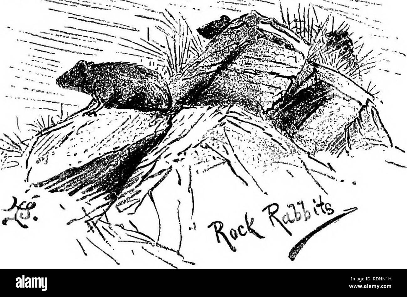 Golis range hi-res stock photography and images - Alamy