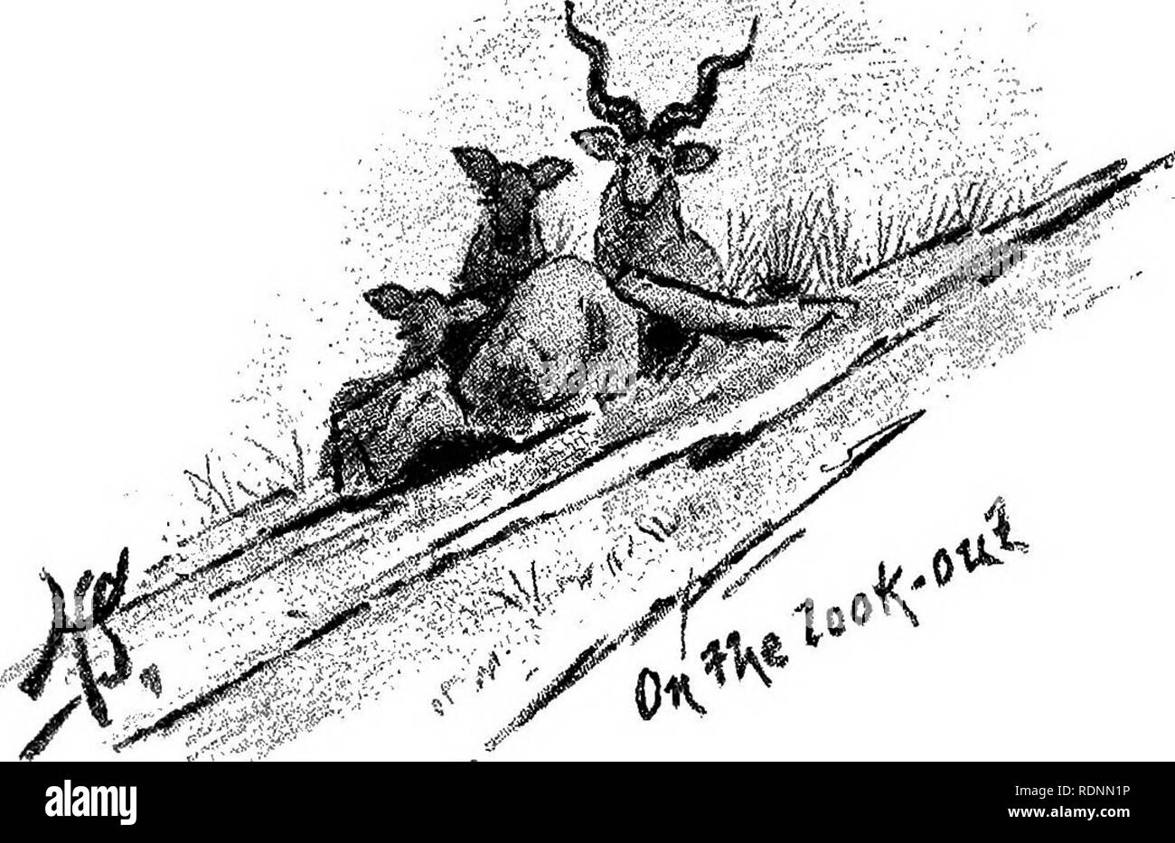 Golis range hi-res stock photography and images - Alamy