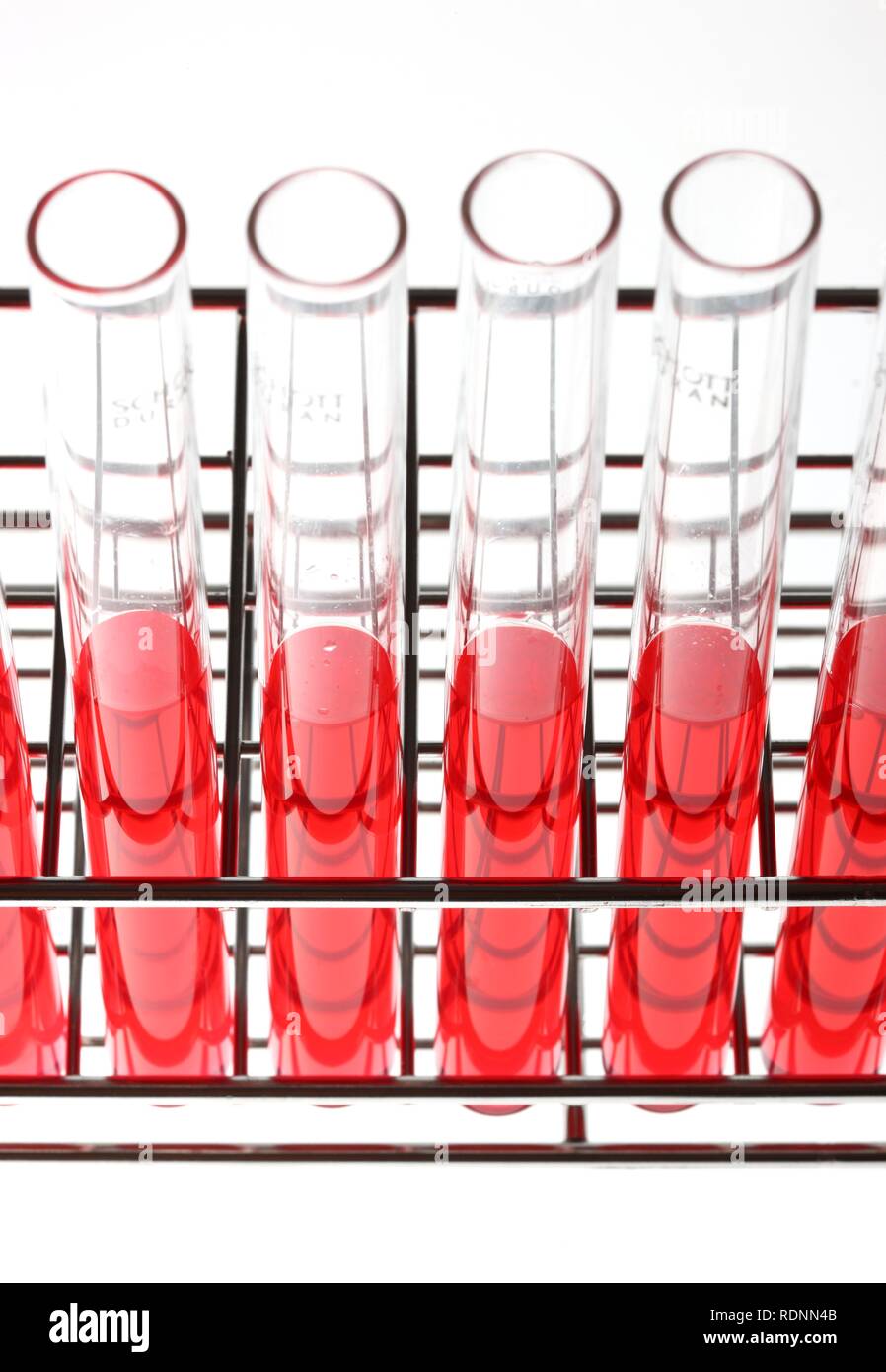 Chemicals in test tubes Stock Photo - Alamy