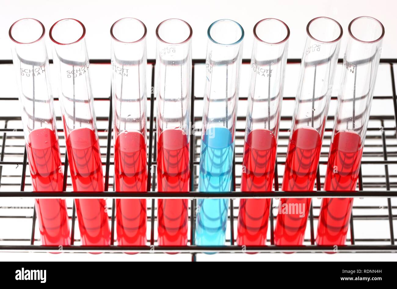 Chemicals in test tubes Stock Photo - Alamy