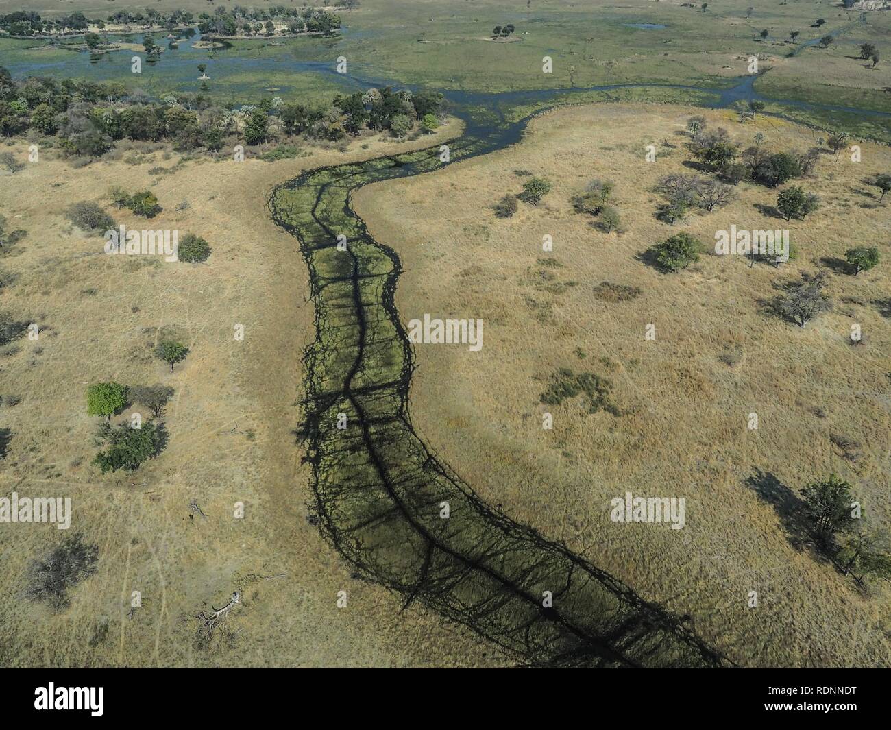 Okavango inland delta hi-res stock photography and images - Alamy