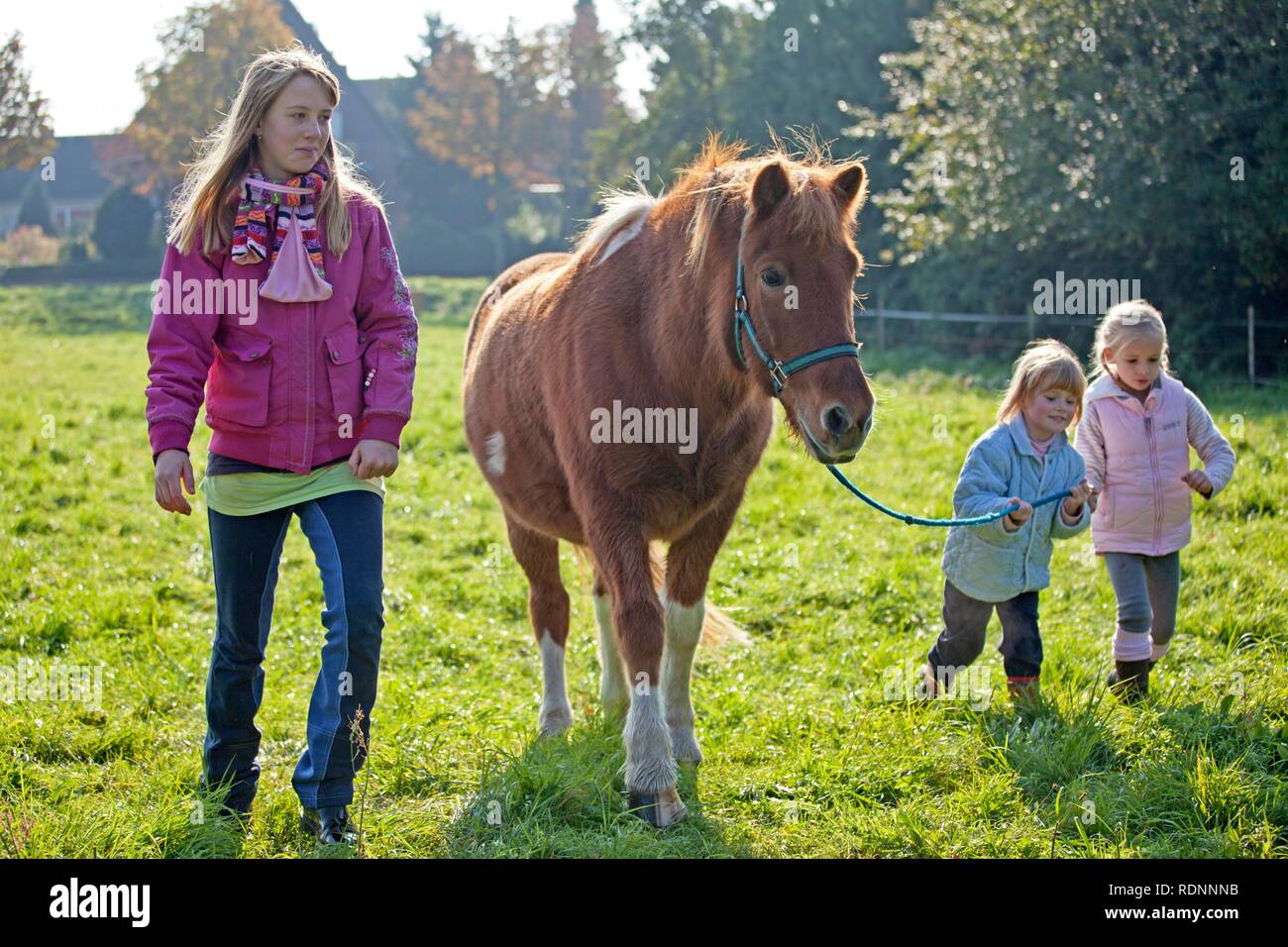 Young girls walking with a pony Stock Photo - Alamy