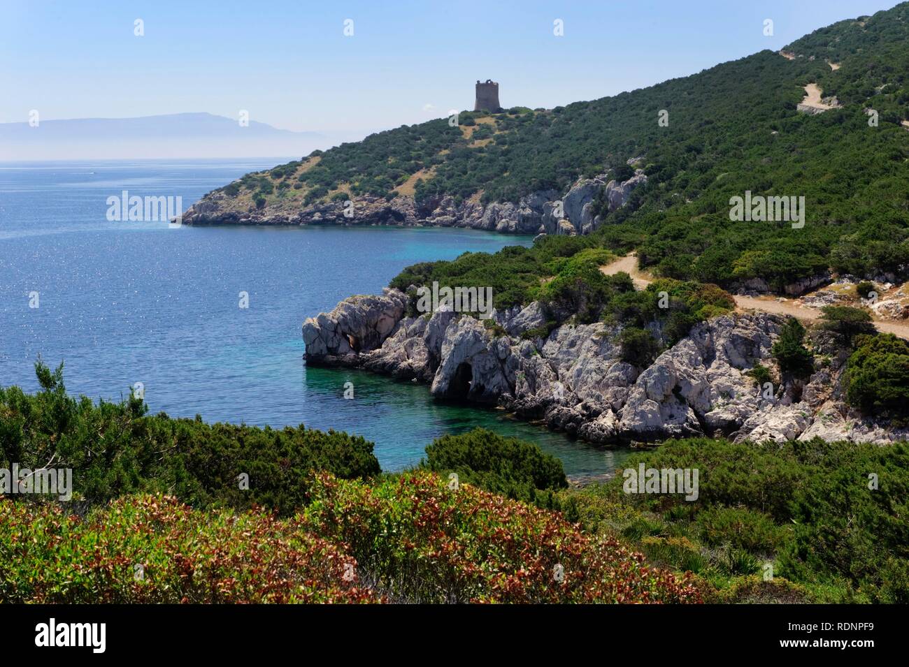 Porto Conte High Resolution Stock Photography and Images - Alamy