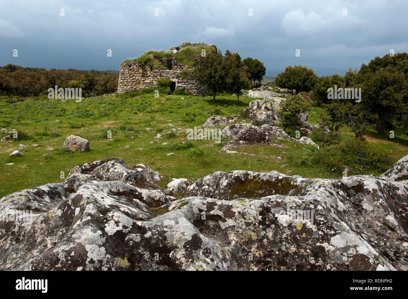 Nuraghe loelle hi-res stock photography and images - Alamy