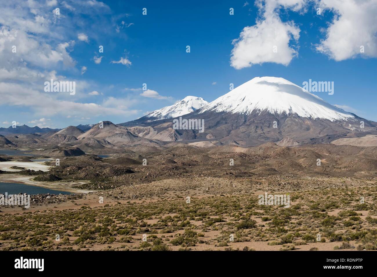 Parinacota and Pomerape volcanoes, Lauca national park, UNESCO ...