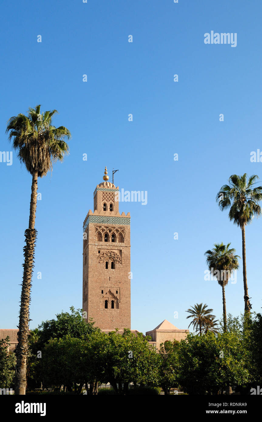 Moroccan palm trees hi-res stock photography and images - Alamy