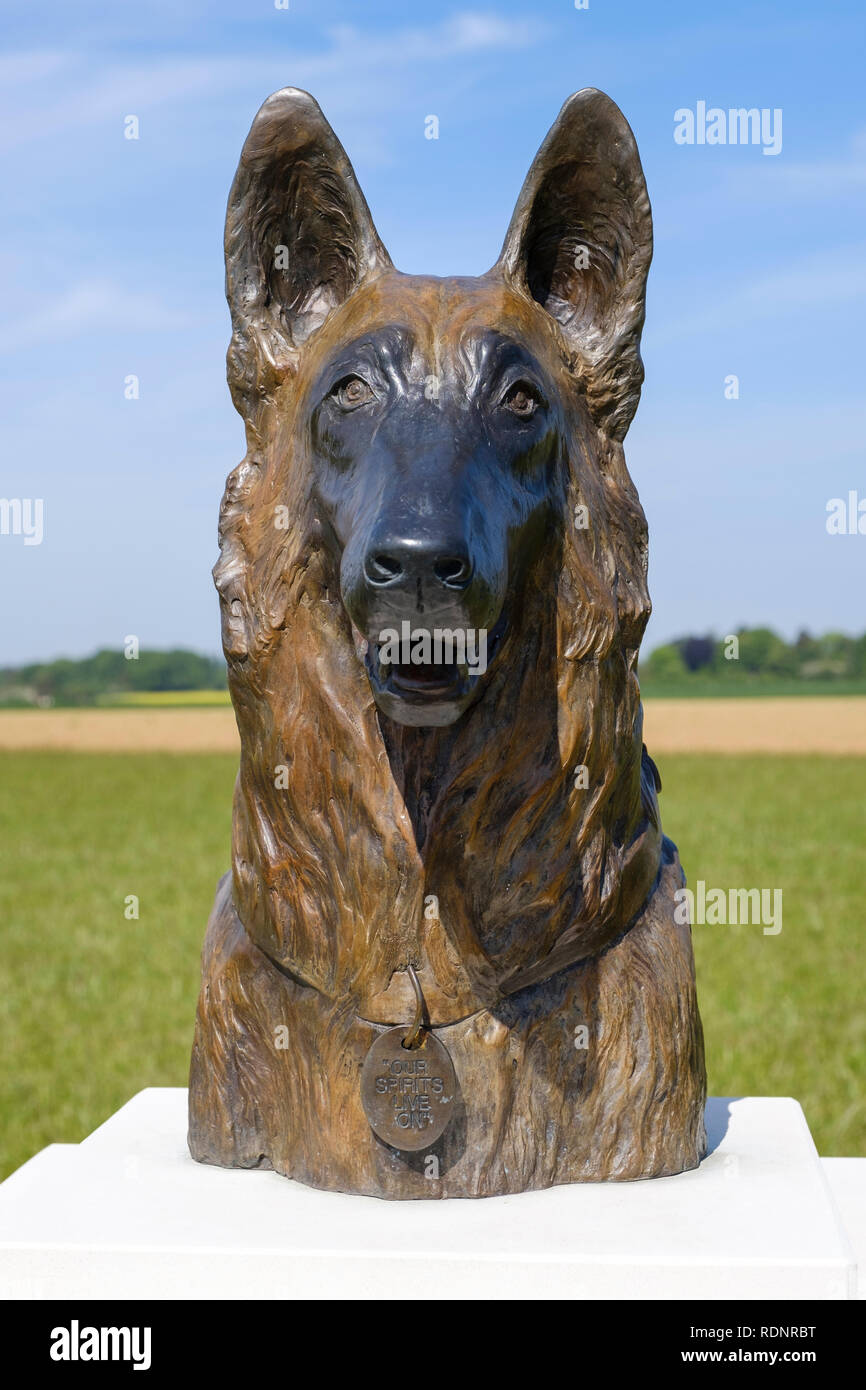 The World War 1 Animal War Memorial, Pozieres, France Stock Photo - Alamy