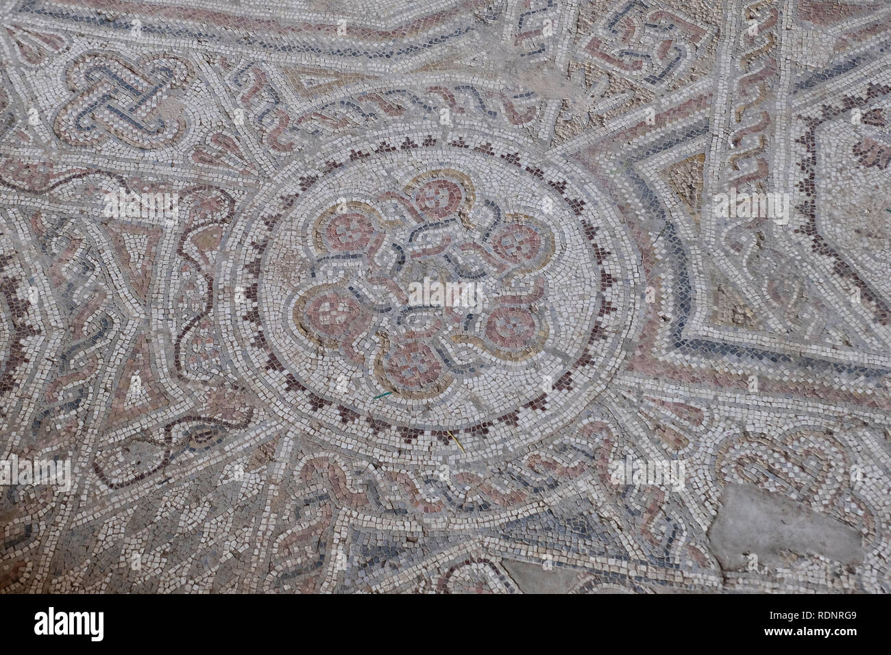Elaborate mosaic floor of a basilica in the archaeological site of Tel ...
