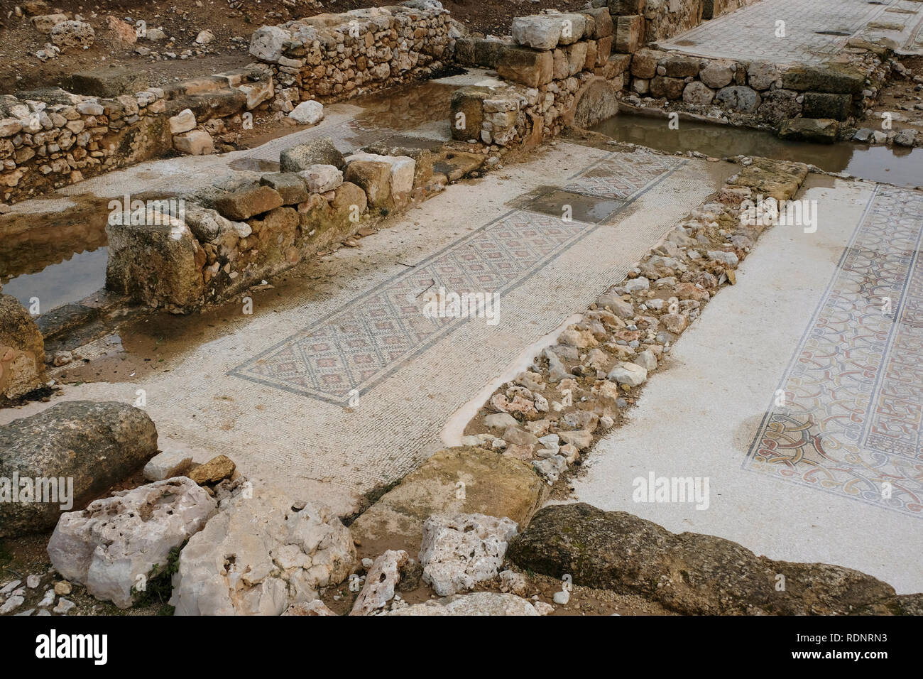 Elaborate mosaic floor of a basilica in the archaeological site of Tel ...