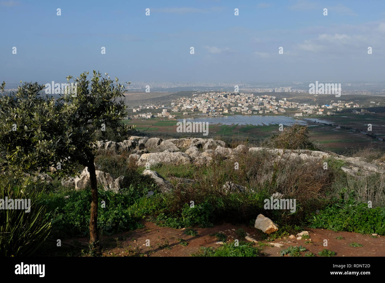 Salfit hi-res stock photography and images - Alamy