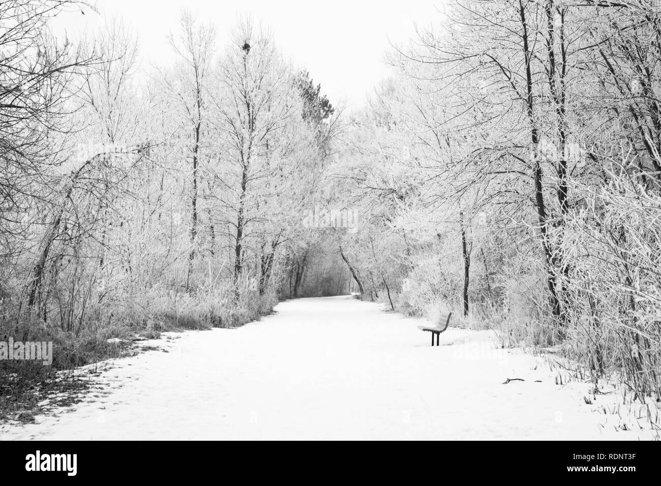 Walking trails Black and White Stock Photos & Images - Alamy