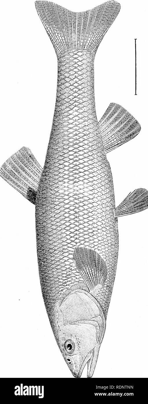 W 4 1 43 Black and White Stock Photos & Images - Alamy