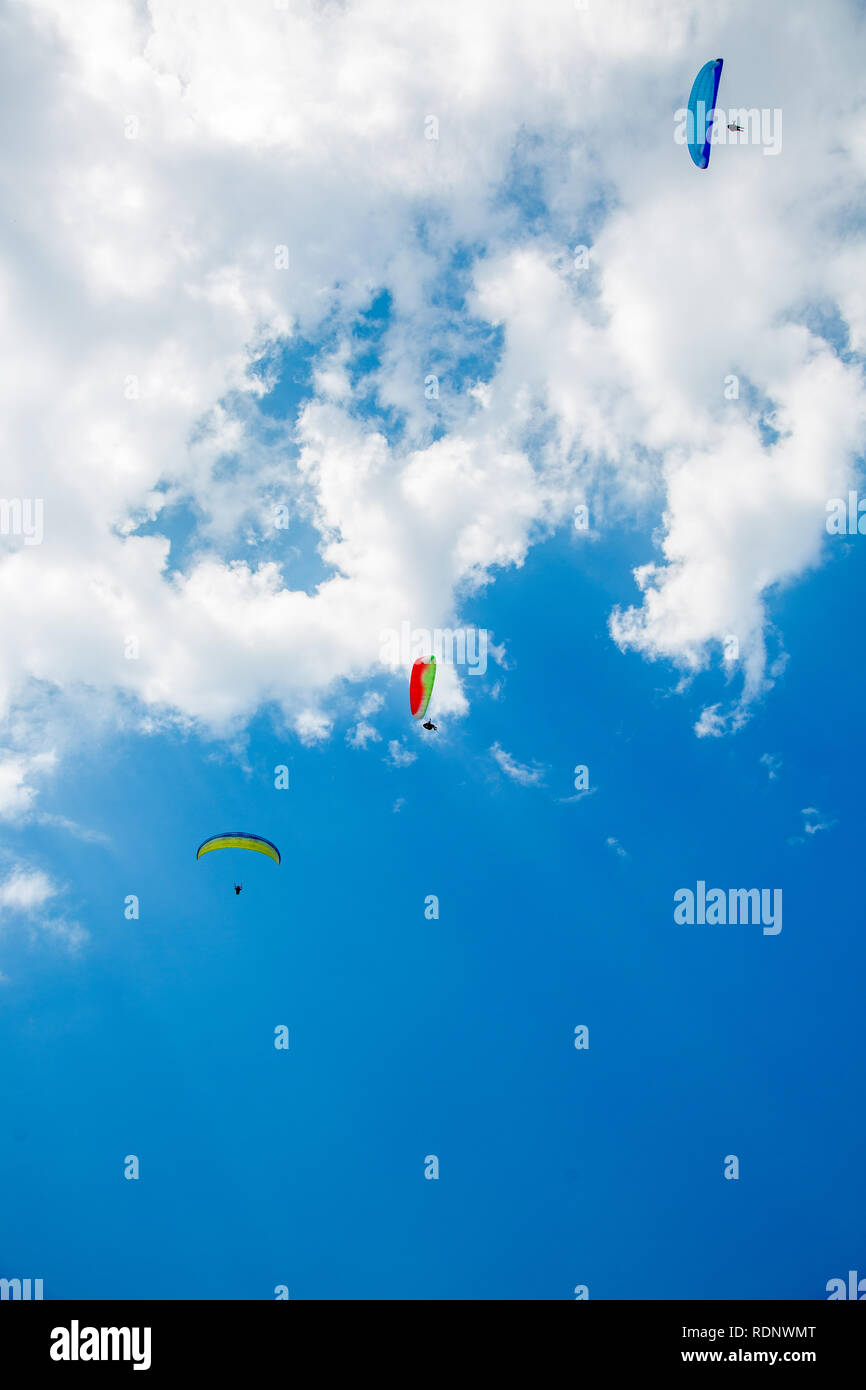 Professional skydiver fly in sky hi-res stock photography and images ...