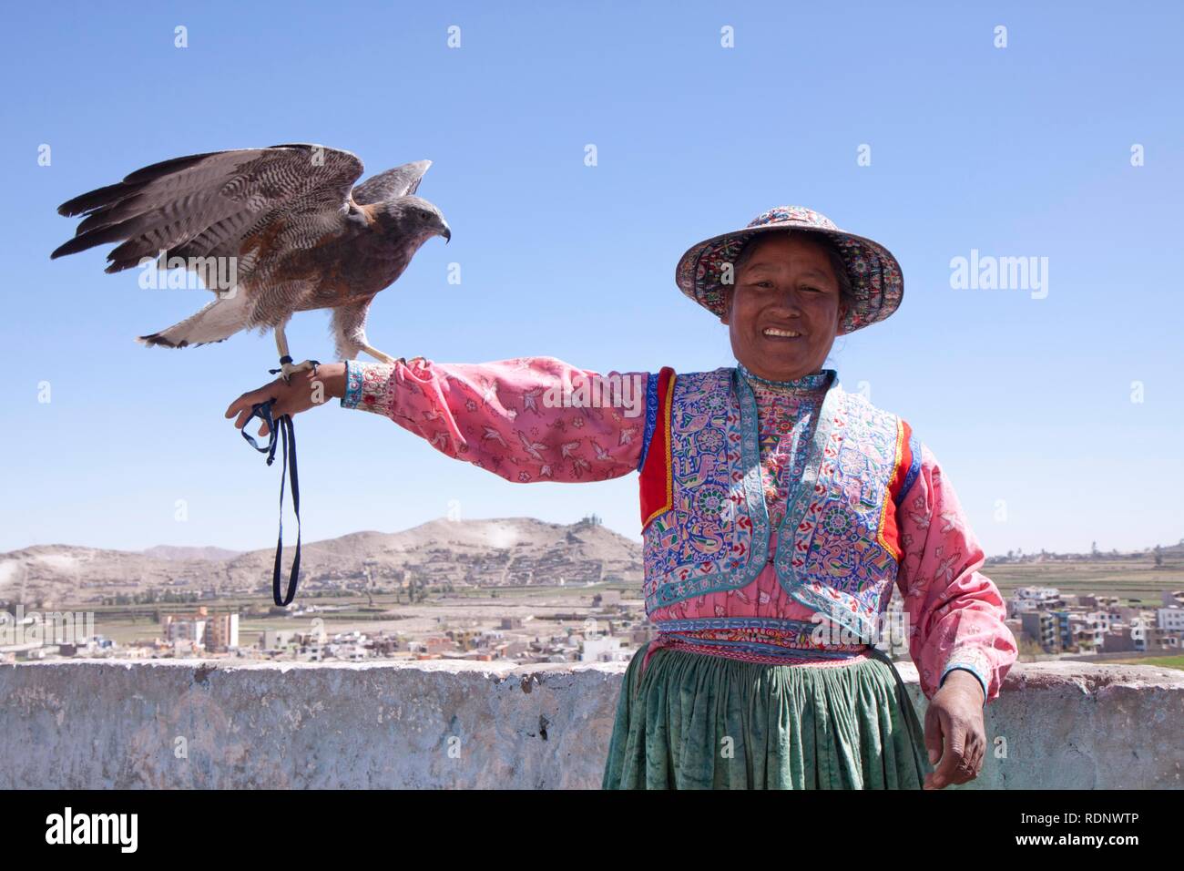 Peru fauna hi-res stock photography and images - Alamy