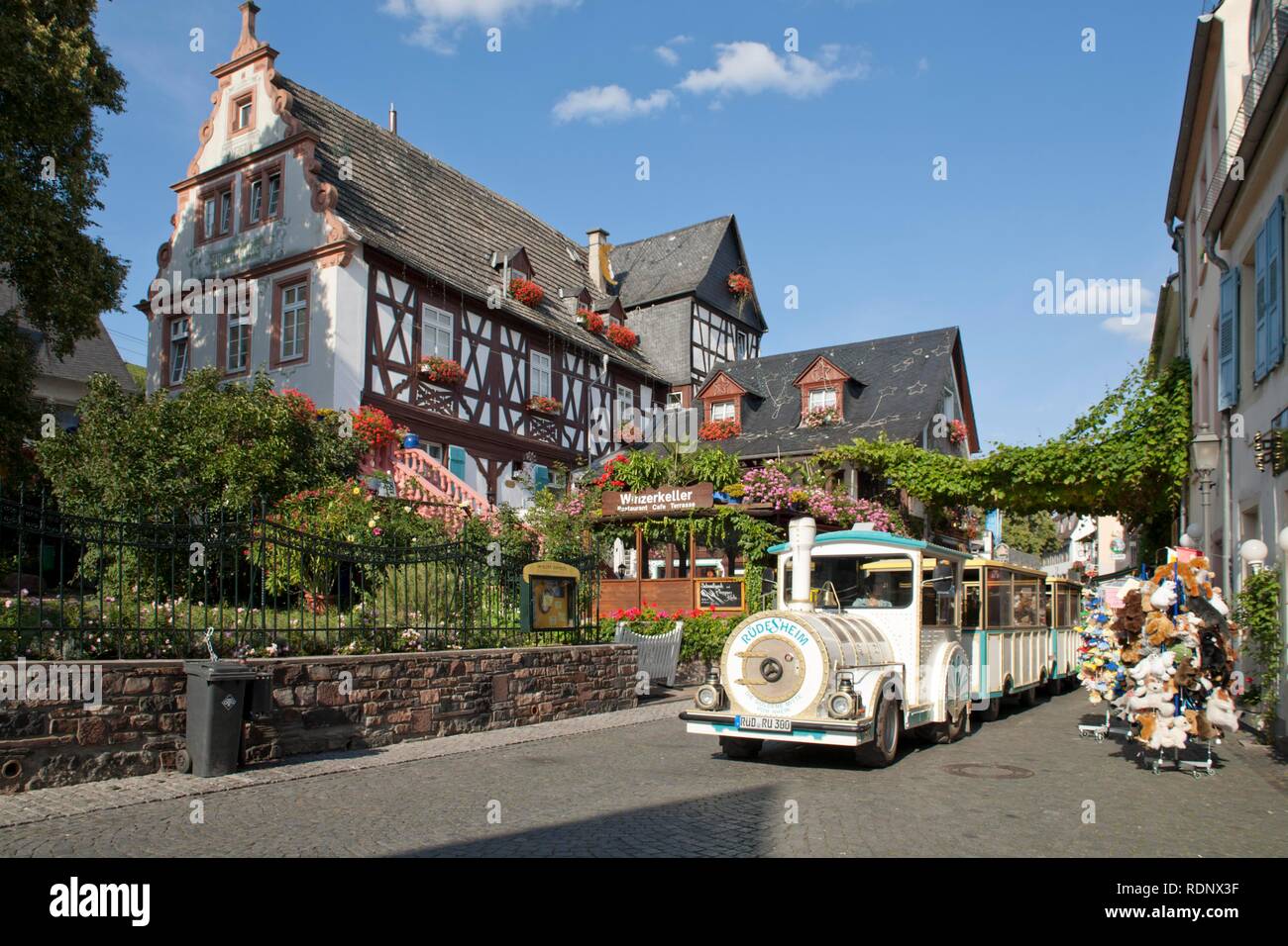 Vineyard at Oberstrasse in Ruedesheim am Rhein, Rhineland-Palatinate ...