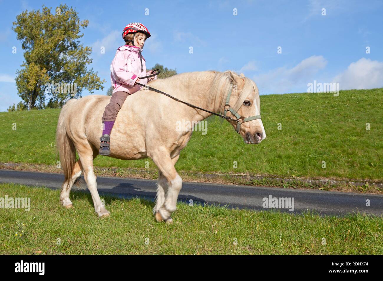 Kids riding ponies hi-res stock photography and images - Alamy