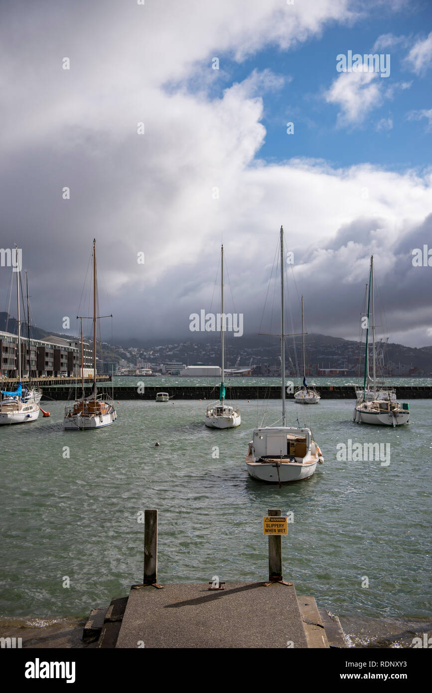 The Wellington Waterfront is a popular area which attracts locals and ...
