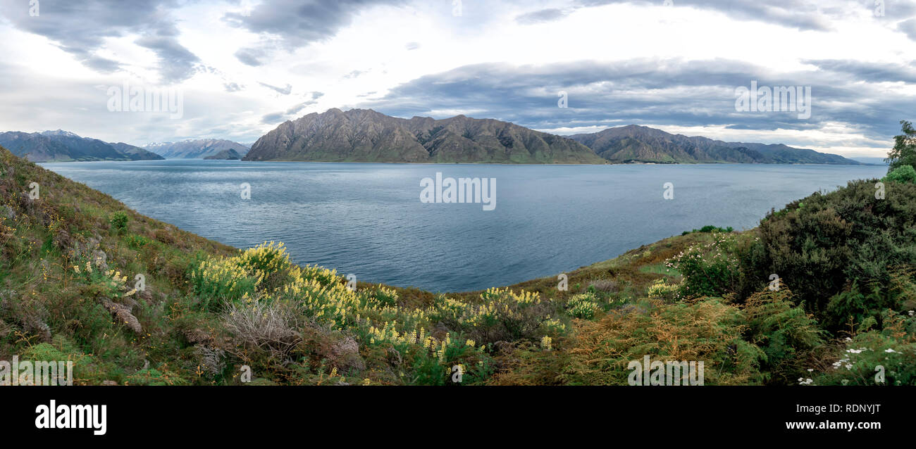 Lake Hawea lookout, Wanaka, New Zealand, South Island, NZ Stock Photo ...