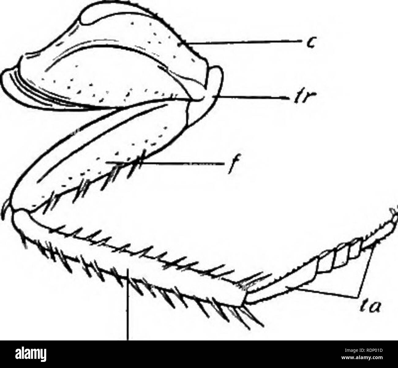 Five cushions Black and White Stock Photos & Images - Alamy