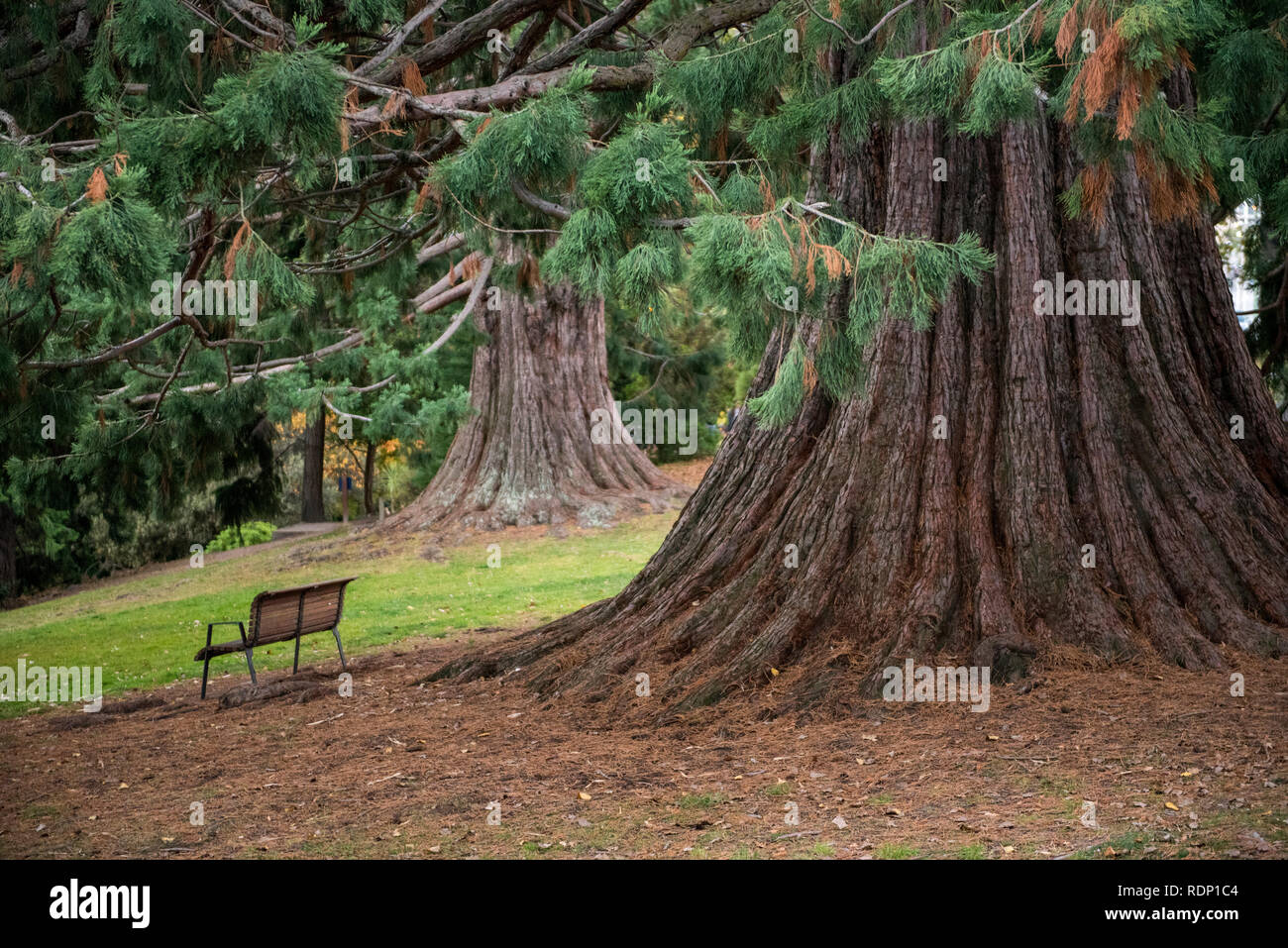 Queenstown gardens hi-res stock photography and images - Alamy