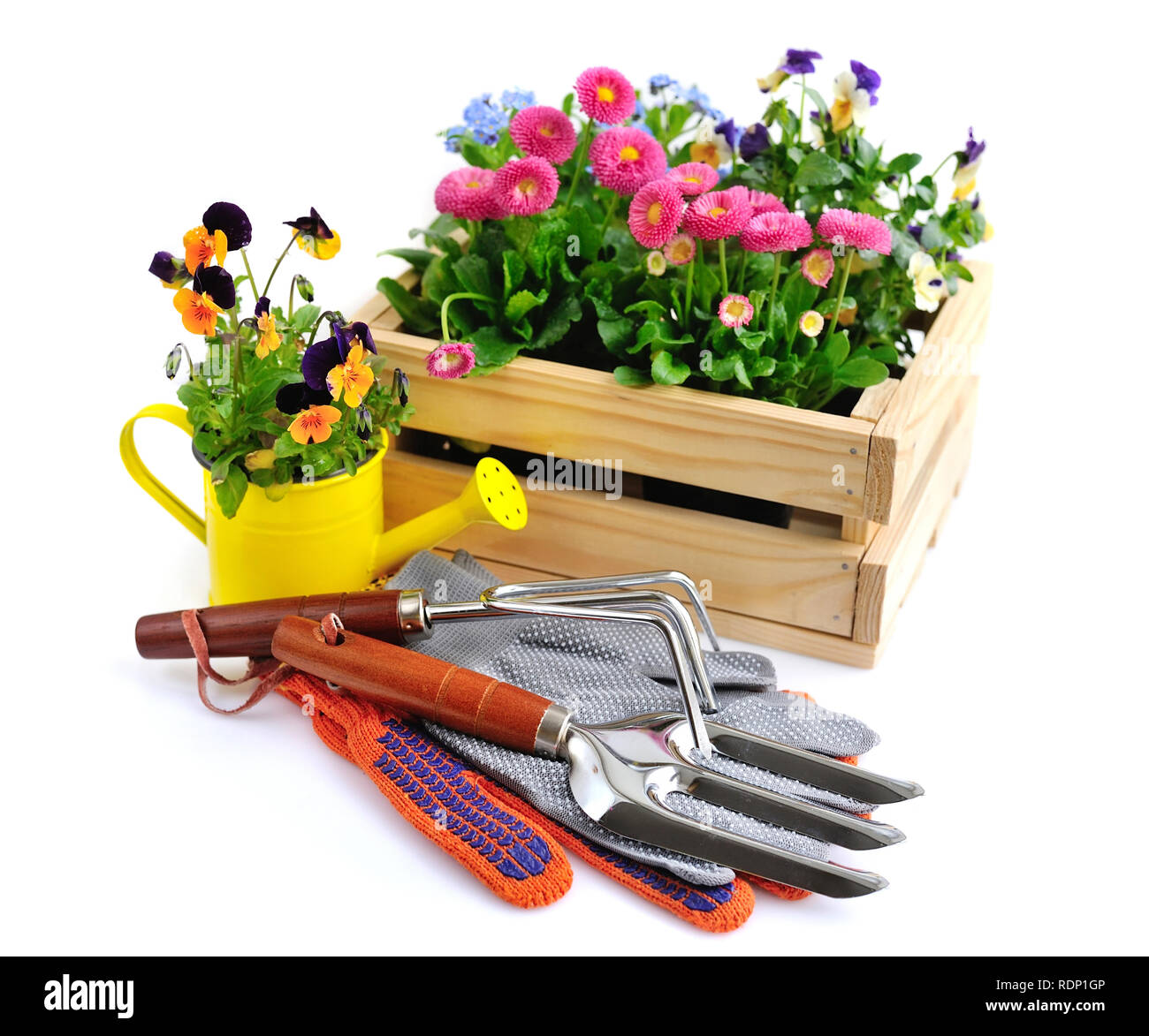 Gardening tools and flowers isolated on white background Stock Photo ...