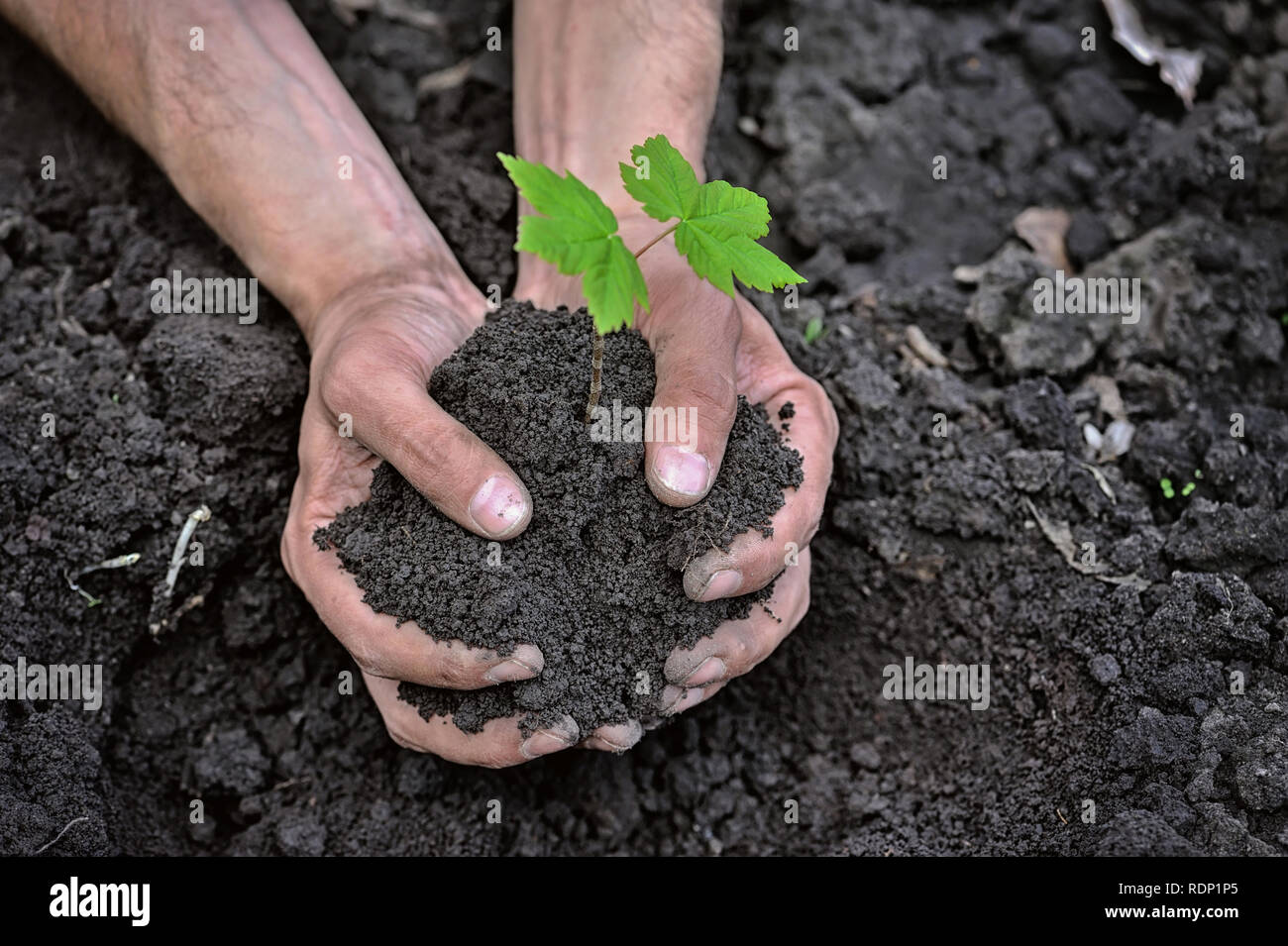 Soil hands hi-res stock photography and images - Alamy