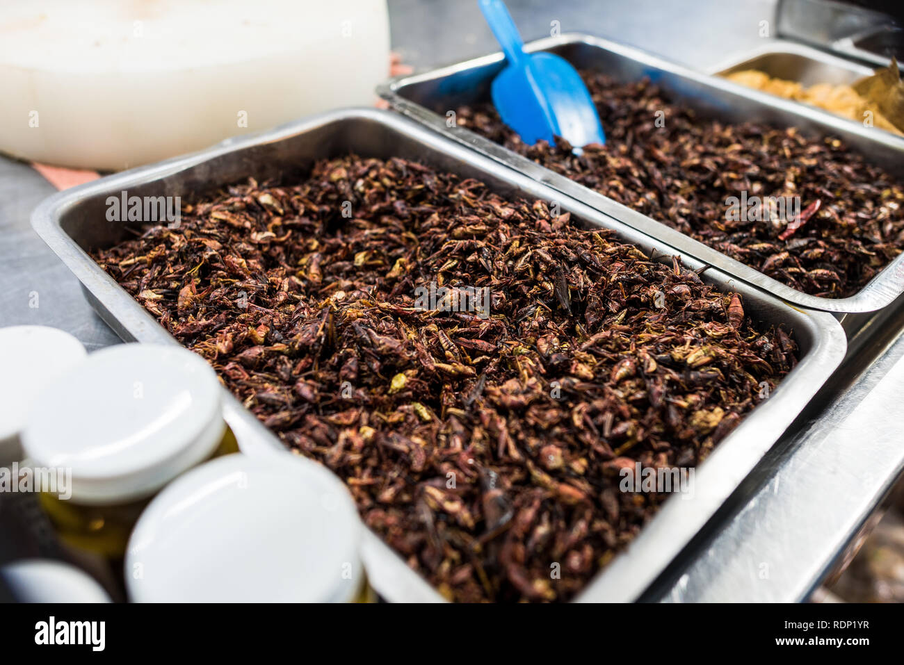 Mercado san juan, mexico city hi-res stock photography and images - Alamy