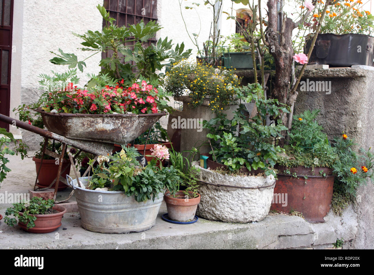 Clay Pots Herbs High Resolution Stock Photography and Images - Alamy