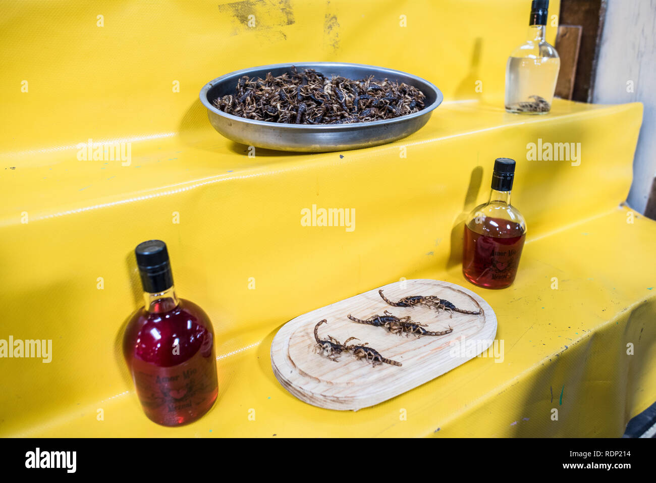 Scorpions de hi-res stock photography and images - Alamy