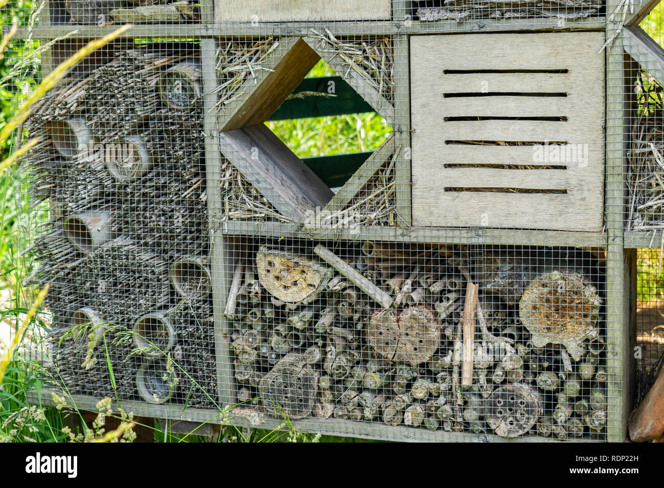 Wooden house for insect hi-res stock photography and images - Alamy
