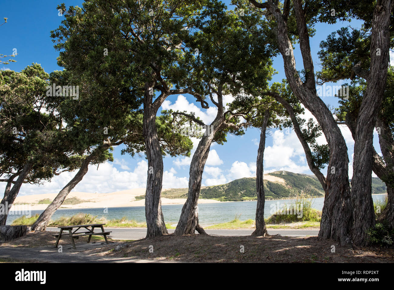 Opononi hi-res stock photography and images - Alamy