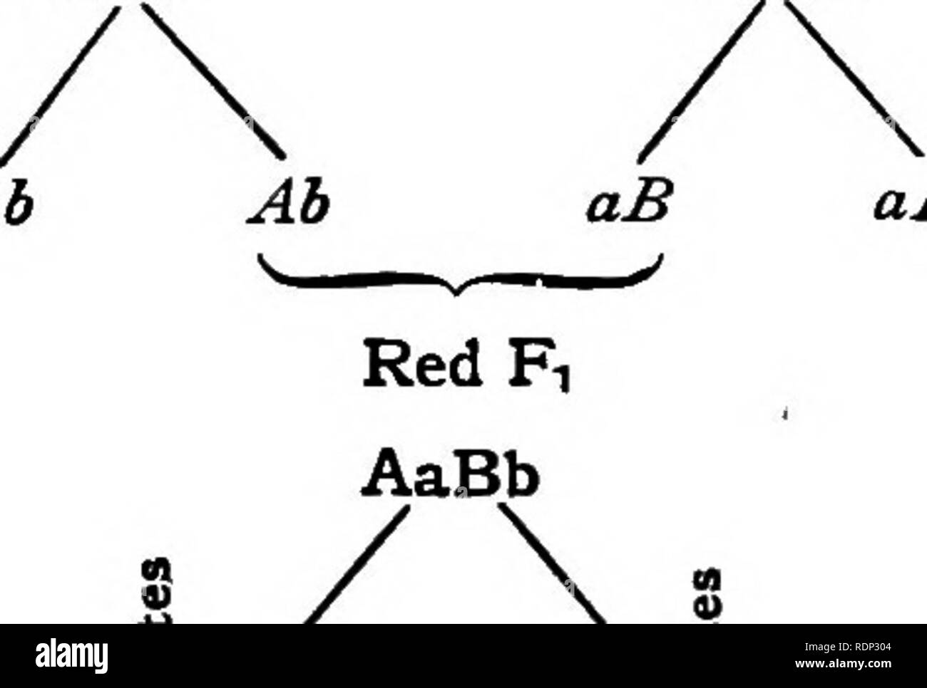 Law Of Interaction Images