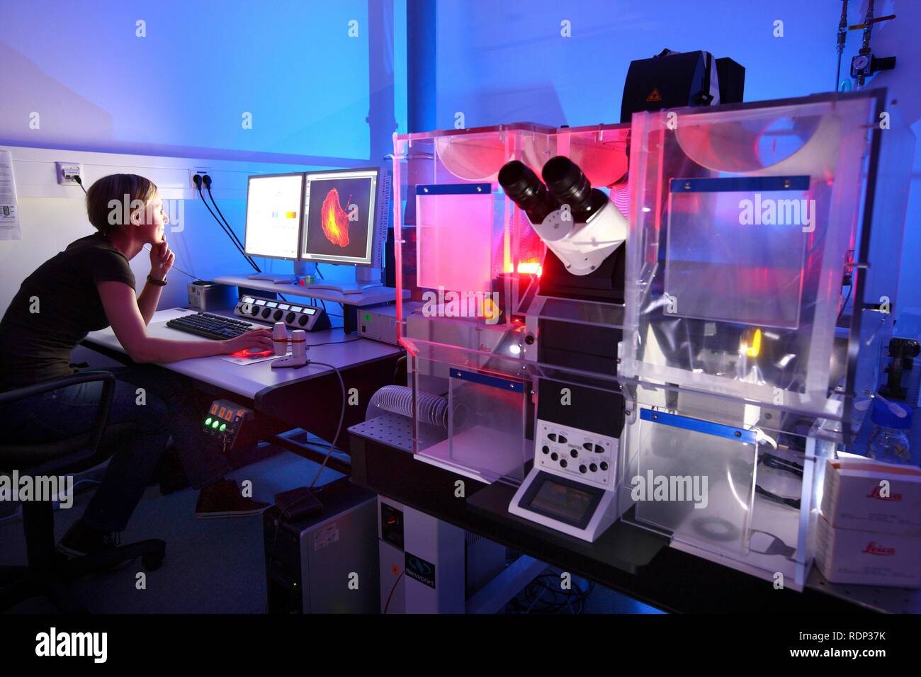 Biotechnology, fluorescence microscope, a special version of a light ...