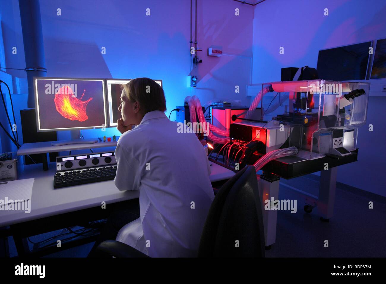 Biotechnology, fluorescence microscope, a special version of a light ...